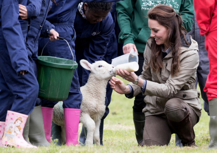 Kate à la ferme – Dans le boudoir de Kate Middleton